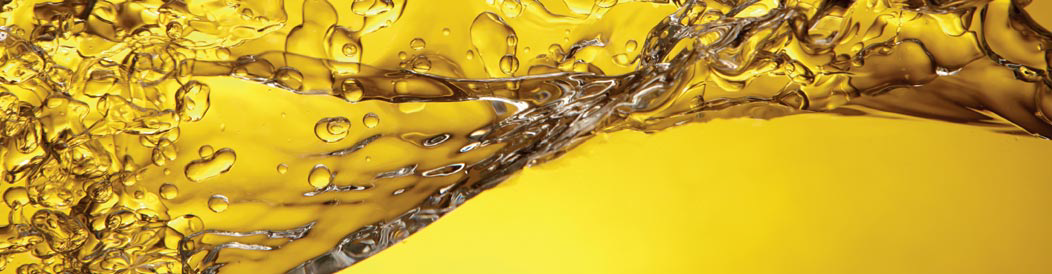 Flottweg - hansa-boiler